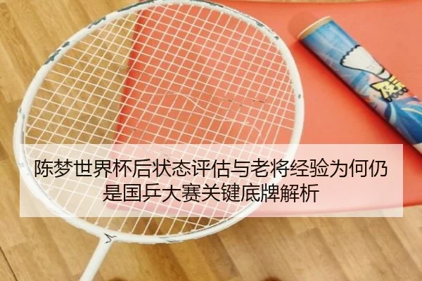陈梦世界杯后状态评估与老将经验为何仍是国乒大赛关键底牌解析 - 银河国际